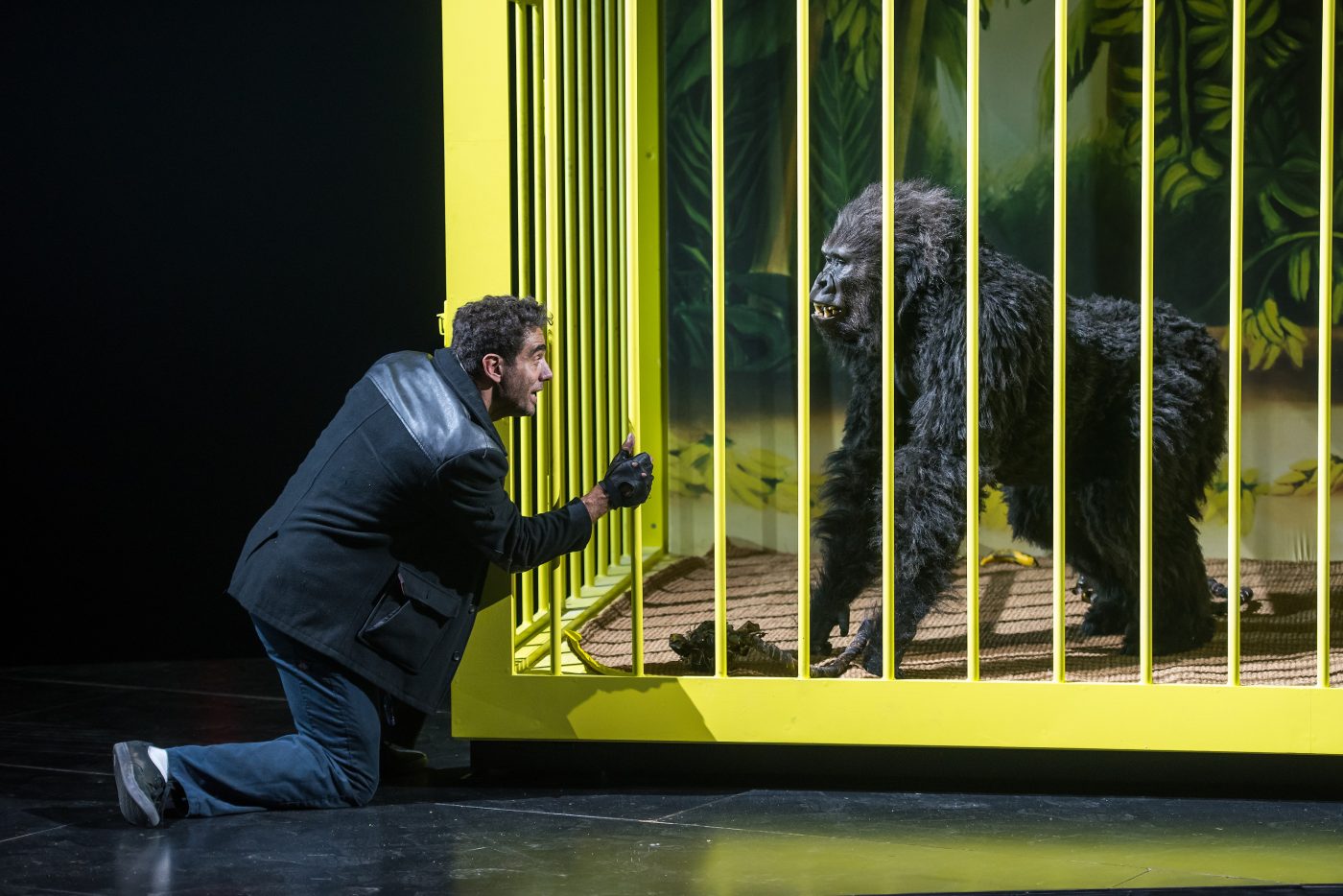 Sweaty Ape Plus The Play That Goes Wrong - Cultural Daily