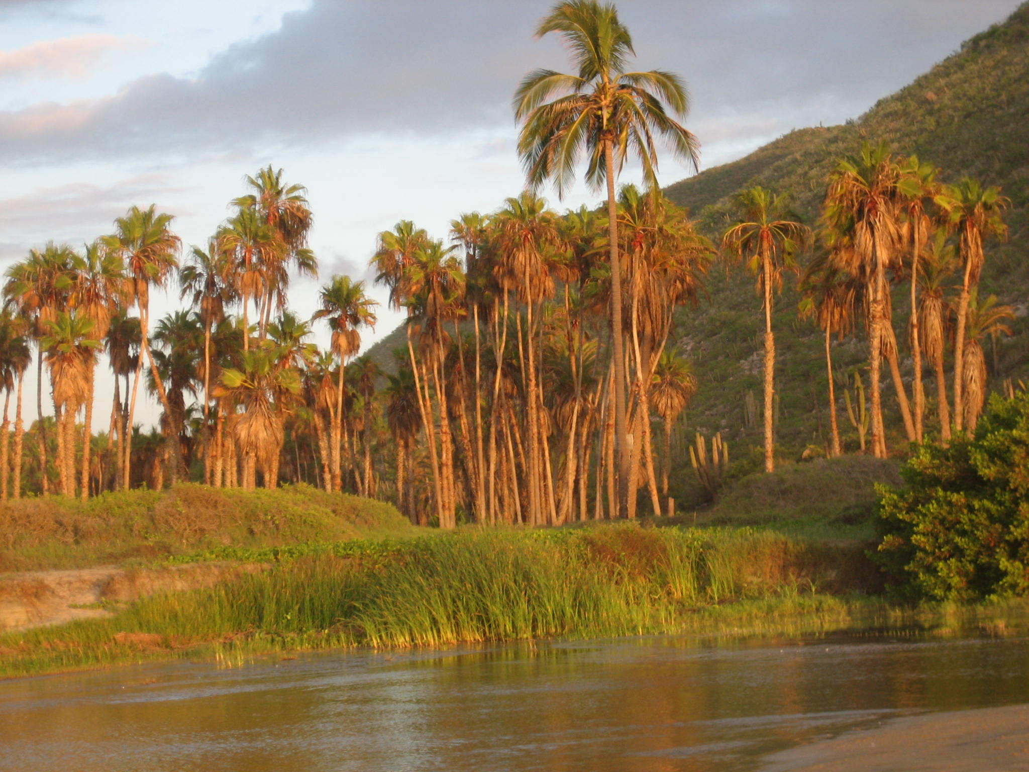 Writers Workshop in Baja Welcomes Poet Christopher Merrill