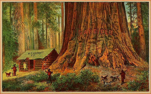 On Charles Olson - Cultural Daily