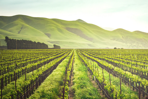 What Does Sustainable Farming Really Mean? - Cultural Daily