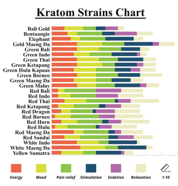 A Guide to Kratom Strains and Their Effects - Cultural Daily