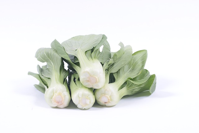 Bok Choy 101 Guide: From Cooking to Regrowing - Cultural Daily
