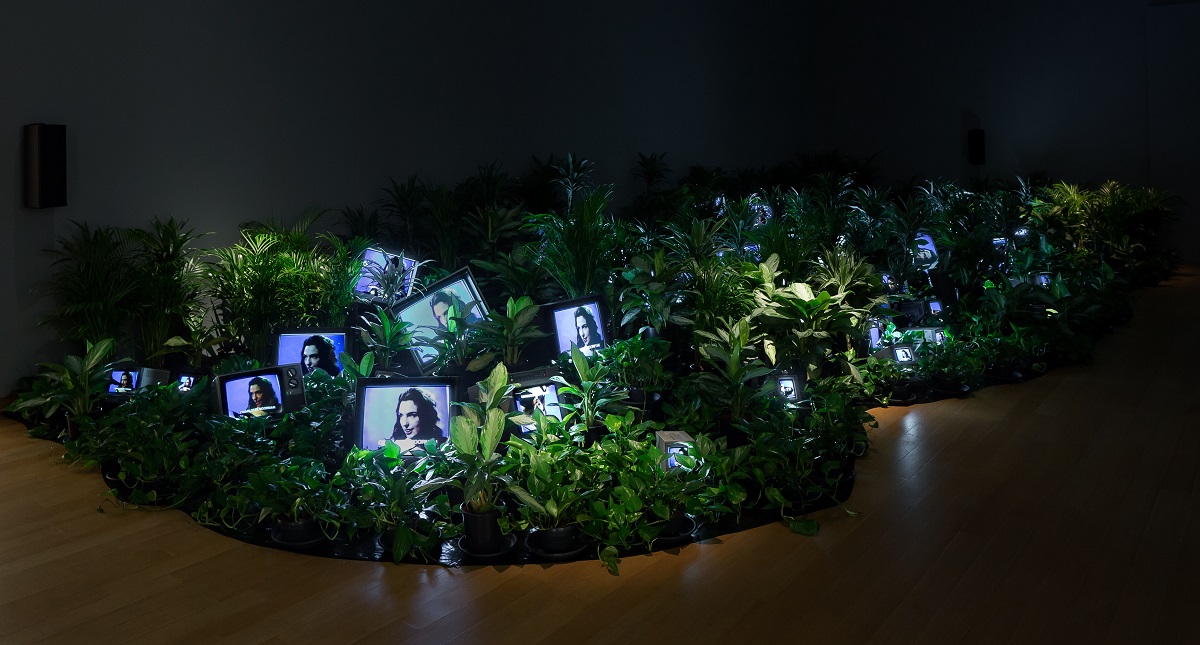 How Nam June Paik Turned Video Into Art - Cultural Daily