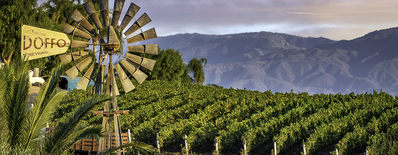 Doffo Winery –– Where Winemaking and Motorcycles Mix - Cultural Daily