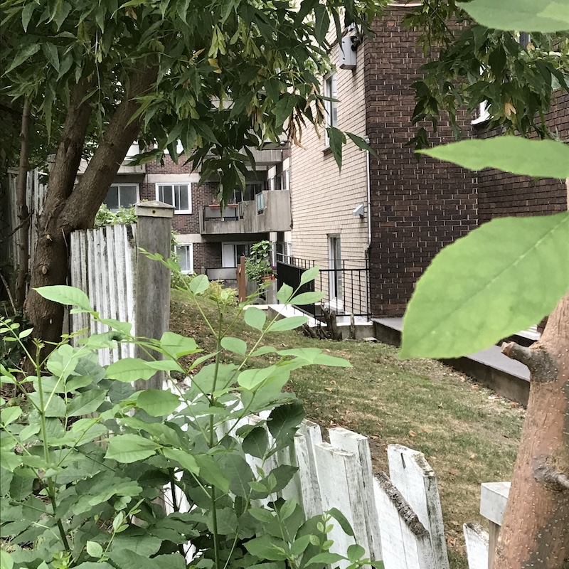 Exploring the spaces in-between-buildings - Cultural Daily