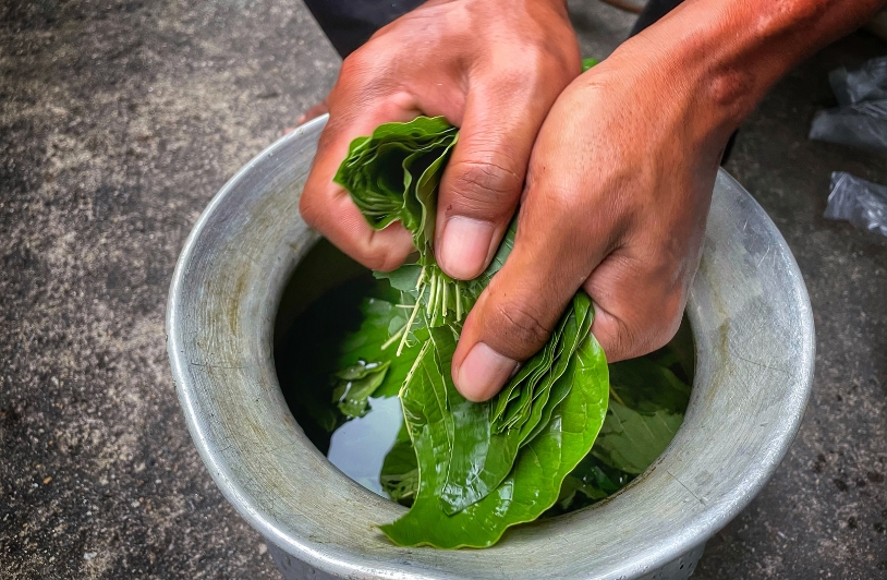 Step-by-Step Guide: How To Make Kratom Extract