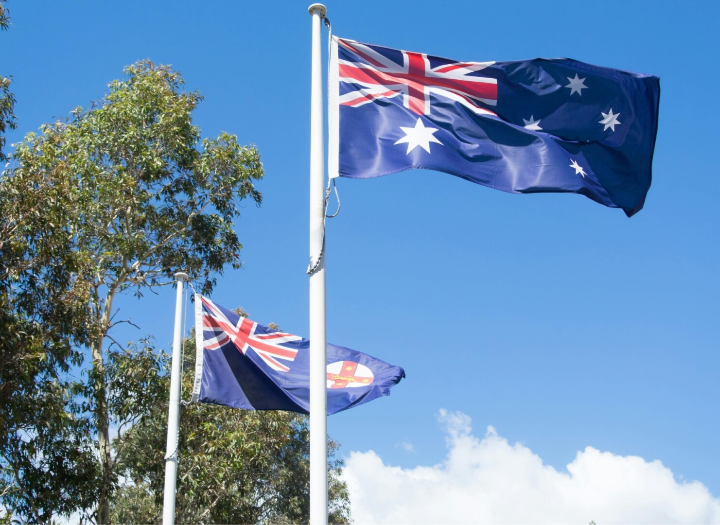 How to Choose the Perfect Flag for Your Home or Business