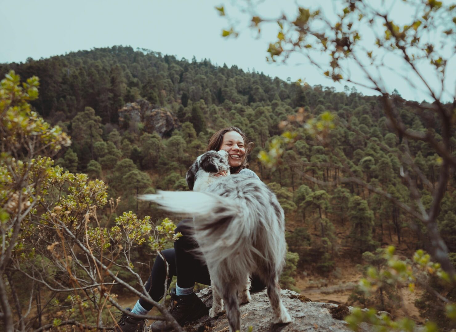 5 Tips for Enjoying Mountain Adventures With Your Pet